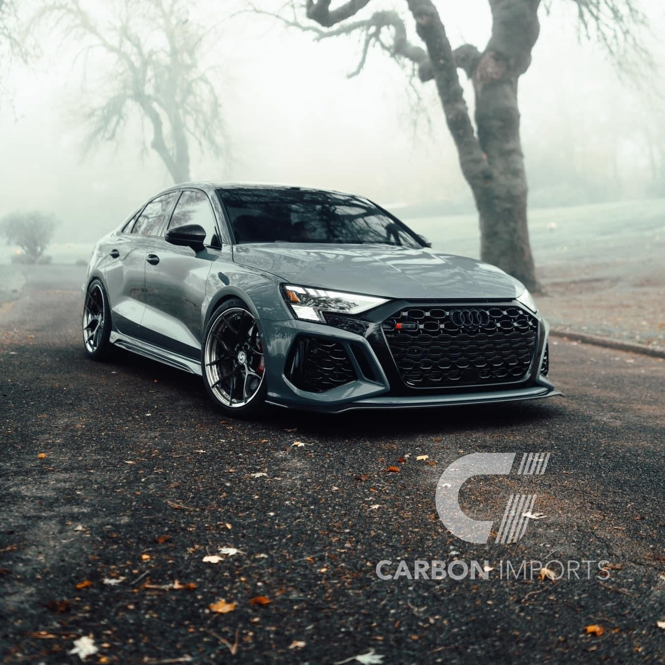 Audi RS3 Carbon Front Fiber Lip 2021-2024 – Carbon Imports